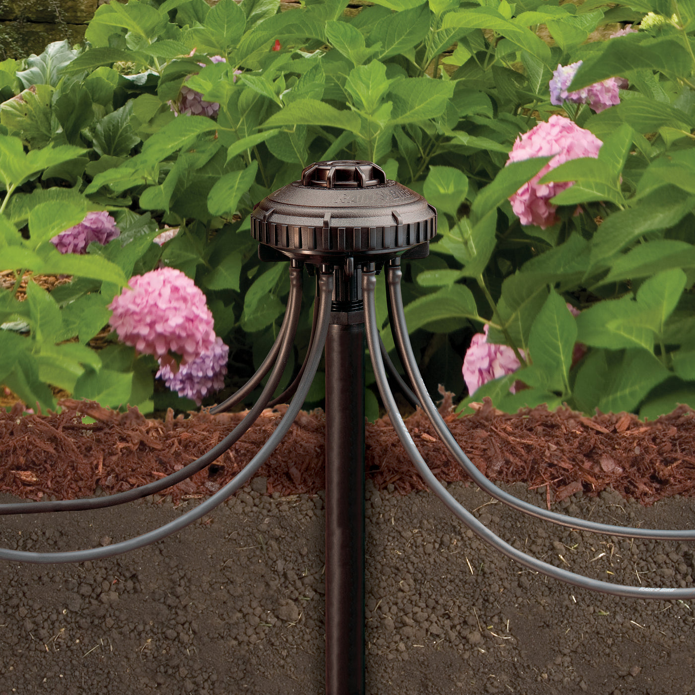 Evergreen Irrigation